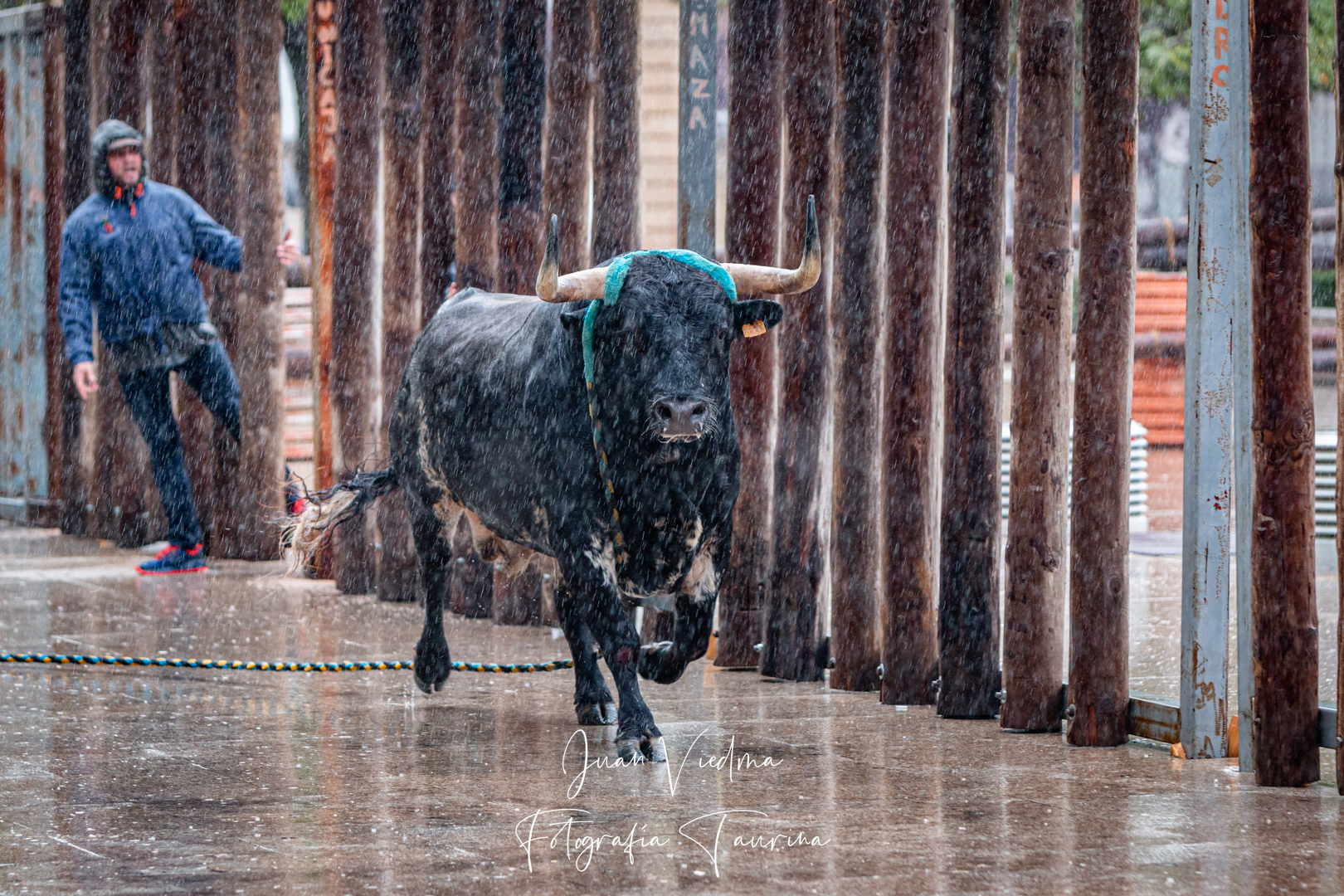 San Marcos 2023 - Fotografía Taurina Juan Viedma