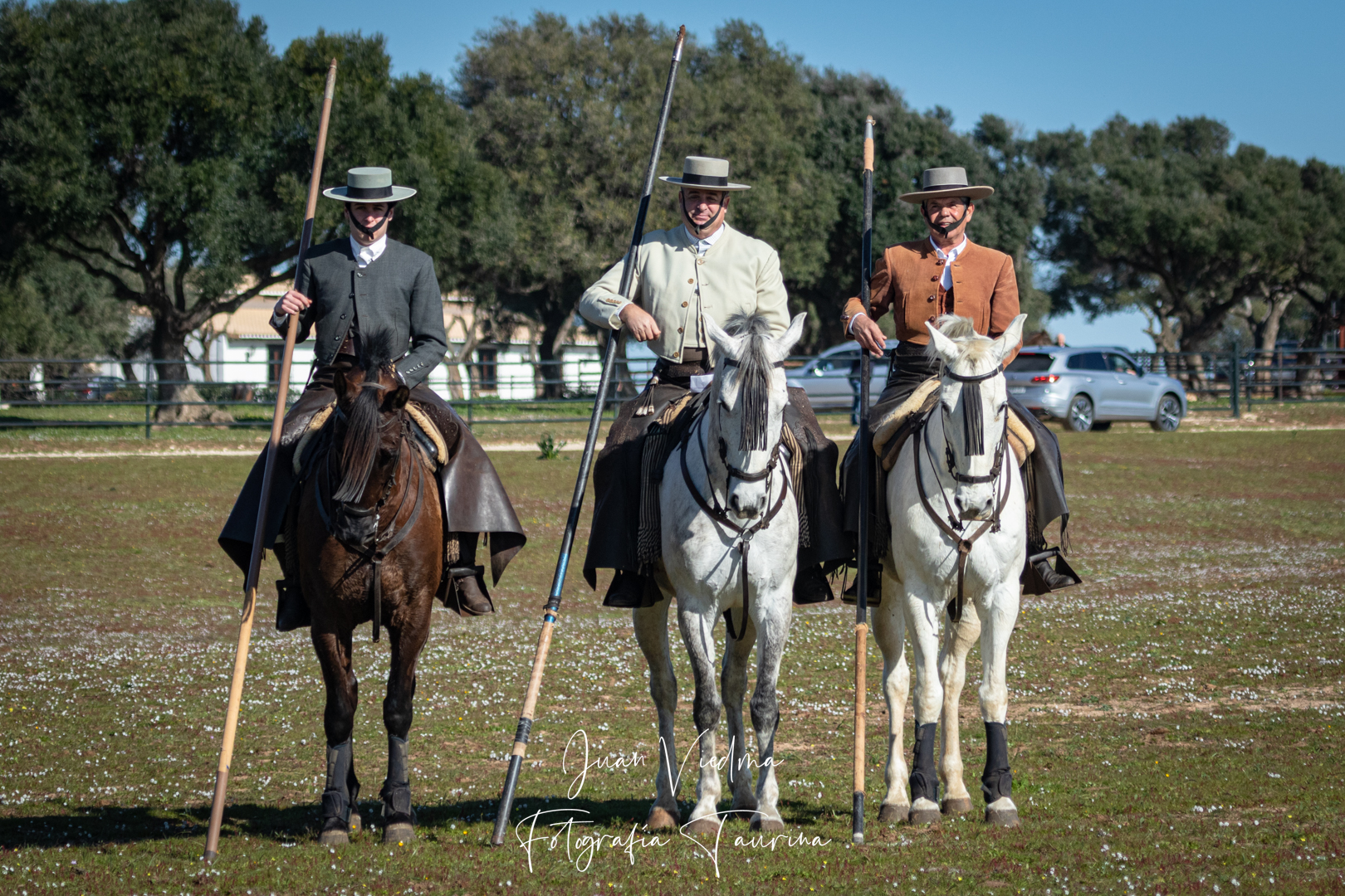 Tienta de machos en Torrestrella - Fotografía Taurina Juan Viedma